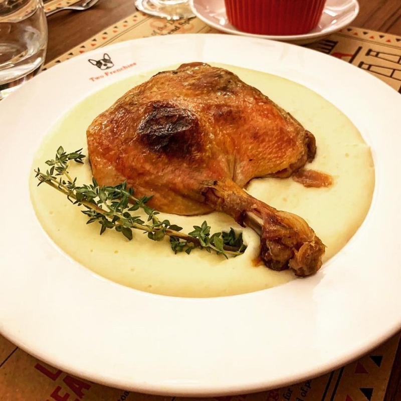 7 Pet-Friendly Cafes in Penang: Paw-some Spots to Eat and Chill