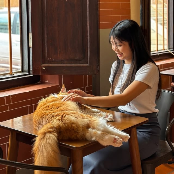 7 Pet-Friendly Cafes in Penang: Paw-some Spots to Eat and Chill